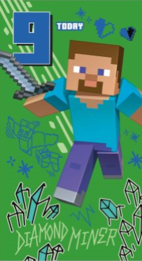 Minecraft Age 9 Birthday Card – Danilo Promotions